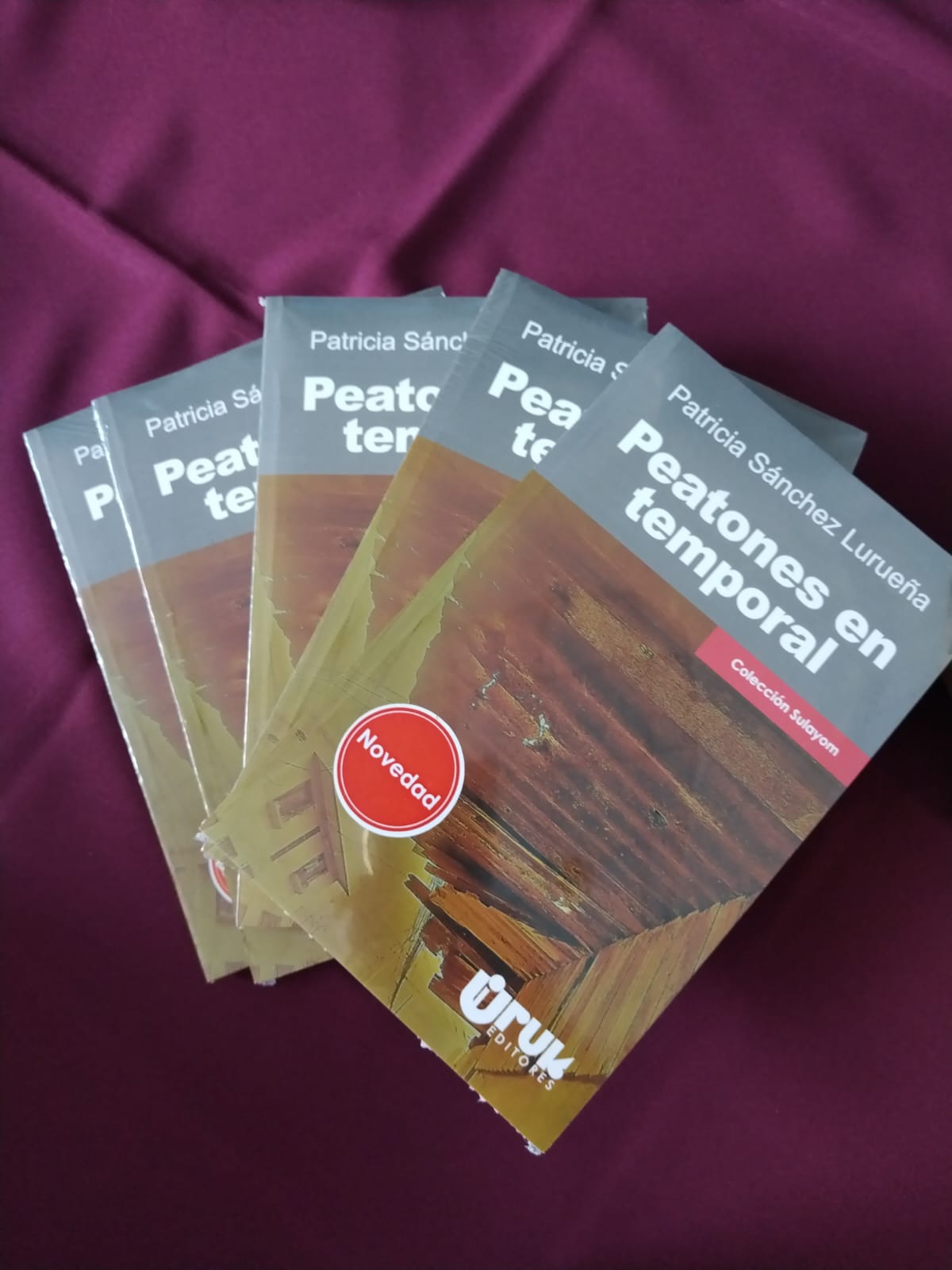 Libro Peatones en temporal presenta relatos sobre soledad, rebeldía y ...